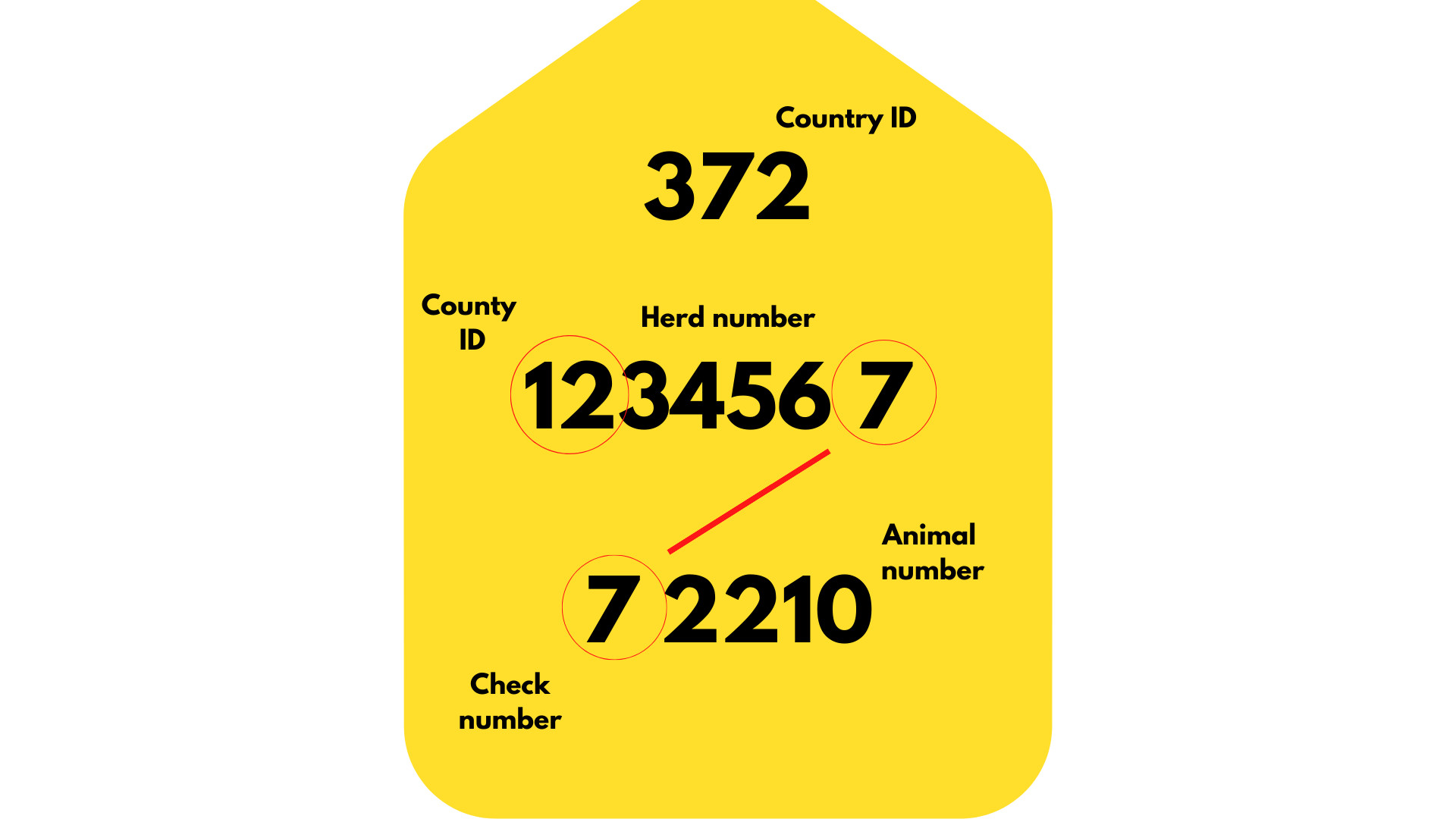 Beef – Agri Aware