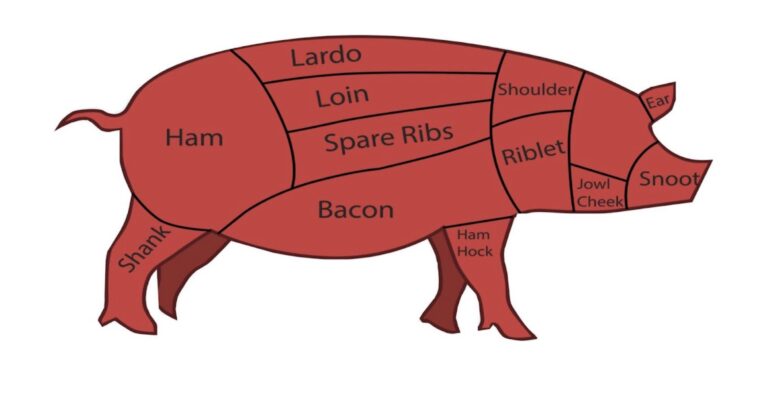 Pig – Agri Aware