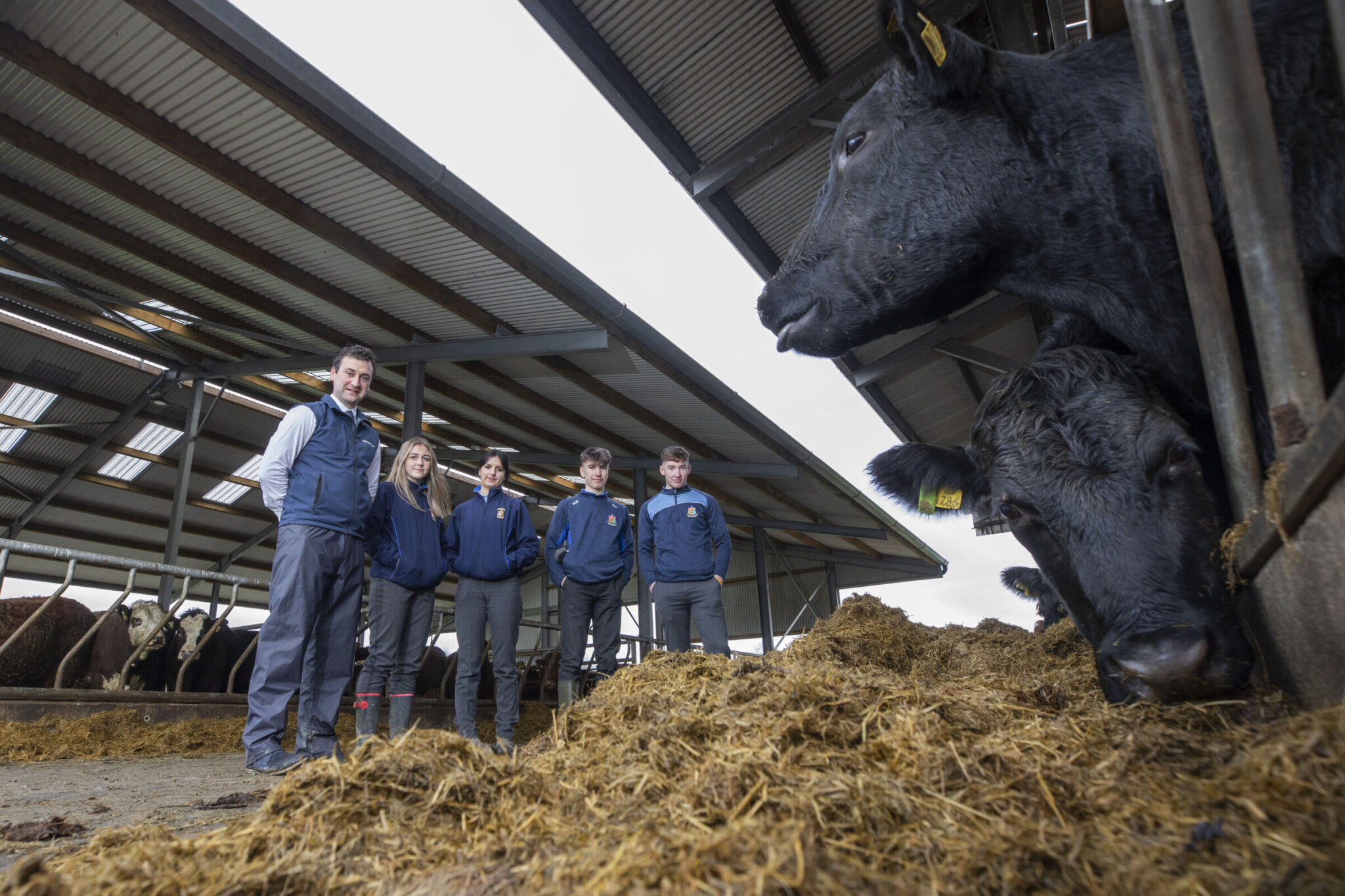 Irish agriculture then and now – Agri Aware