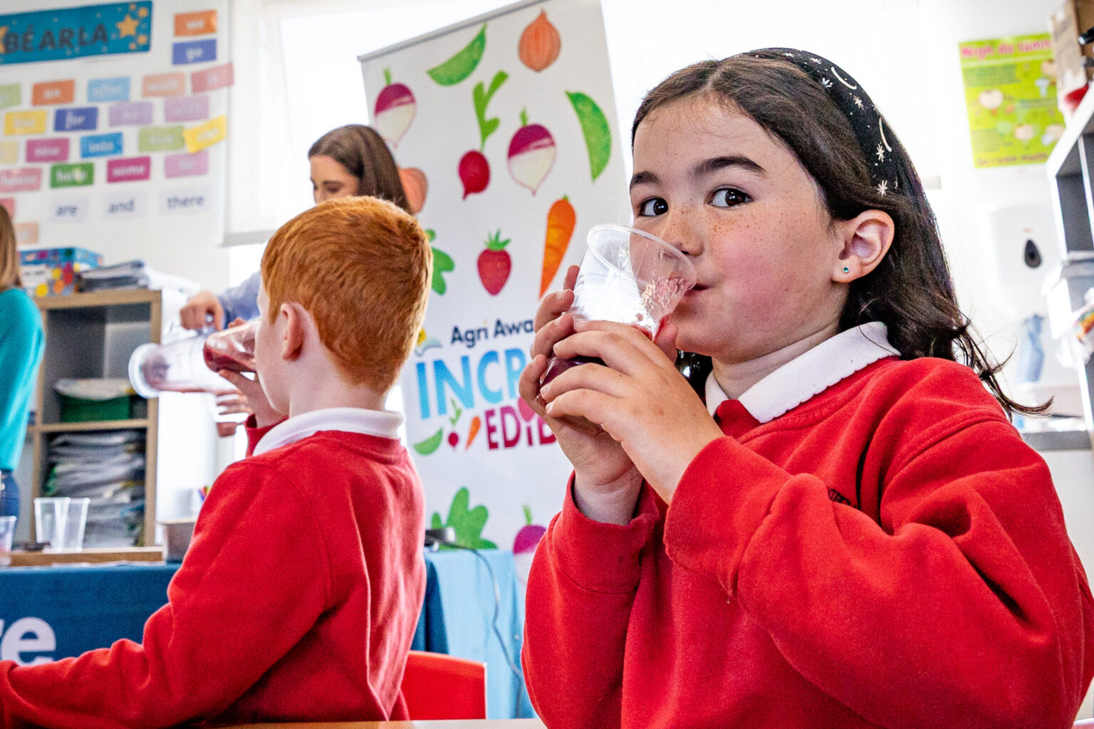 Secondary School Programmes – Agri Aware